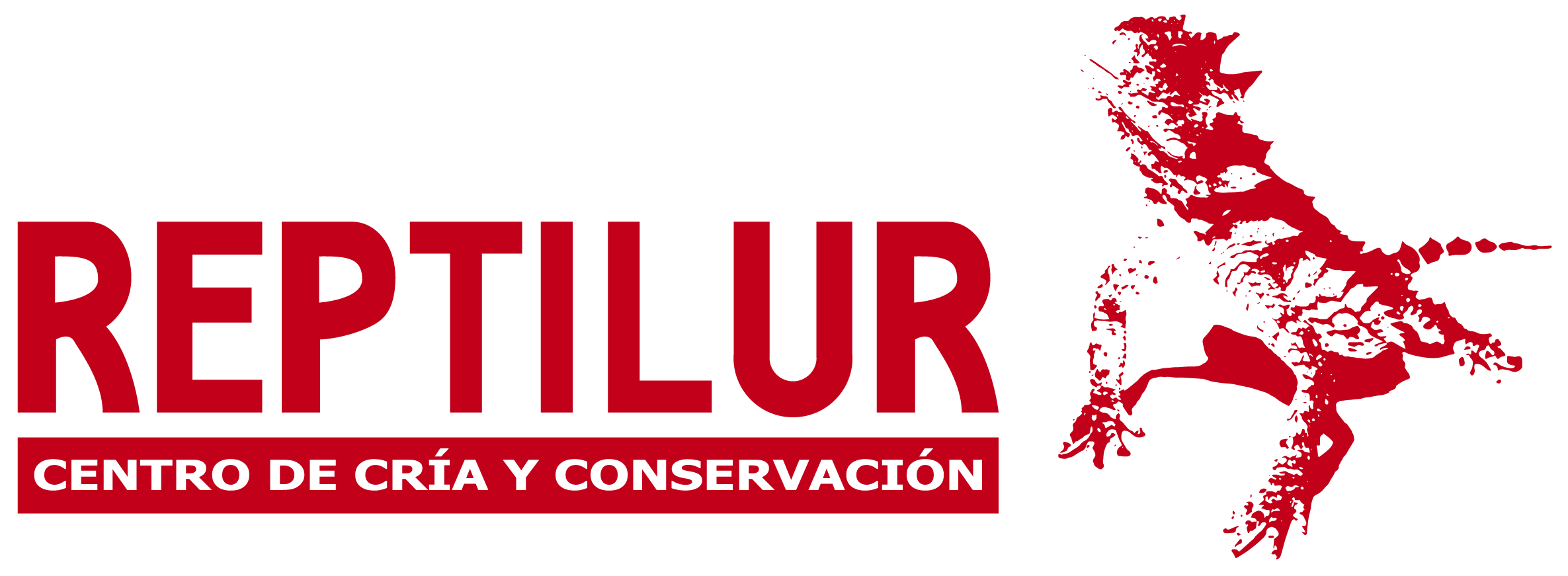 Compra geckos online